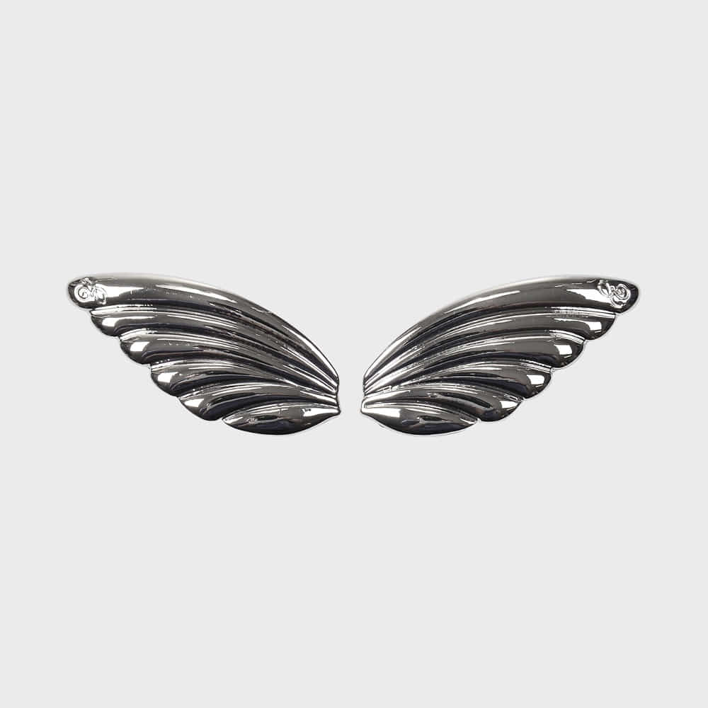 [EIREVE] ANGEL WING SHELL GLOSSY BARRETTE SET (2 PCS) – SellerWork